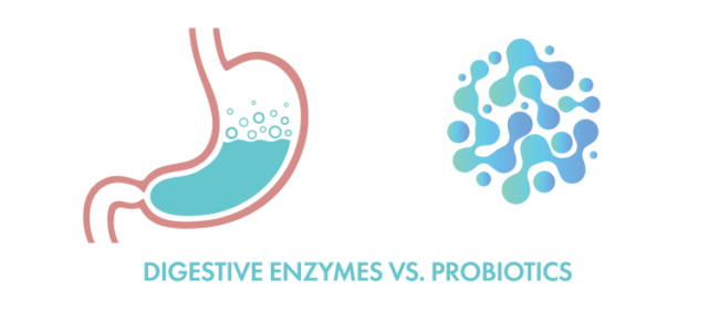 Can I Take Digestive Enzymes and Probiotics Together?